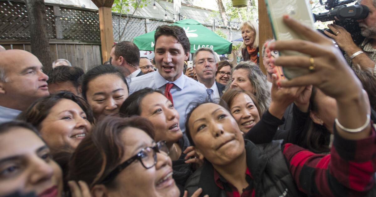 It’s been a terrible decade under Stephen Harper: Porter