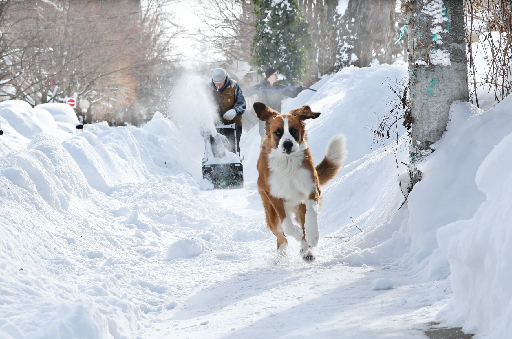 How much snow did you get? Why different areas of Toronto saw varying ...