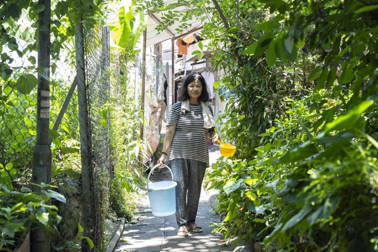 Villagers reluctant to say goodbye to one of Hong Kong's last squatter ...