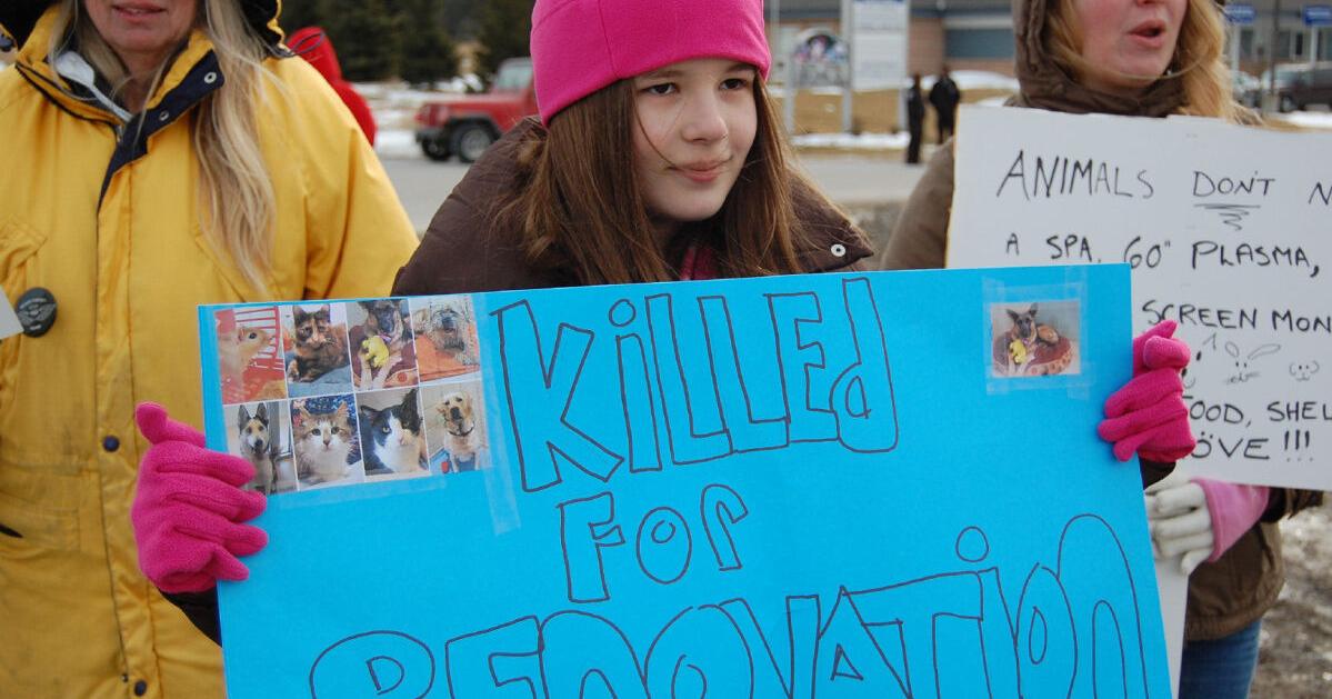 Controversy still dogs Newmarket OSPCA