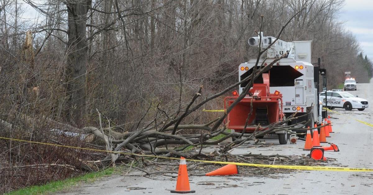 Second arborist in Milton dies after being struck by fallen tree