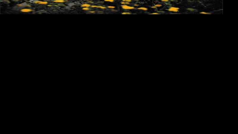 Helen Knott’s memoir In My Own Moccasins recalls an Indigenous woman’s ...