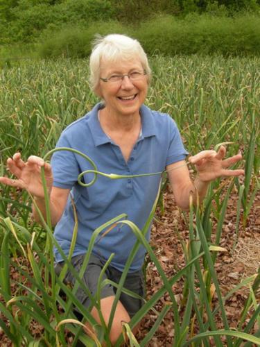 Good garlic is all about timing: The Real Dirt