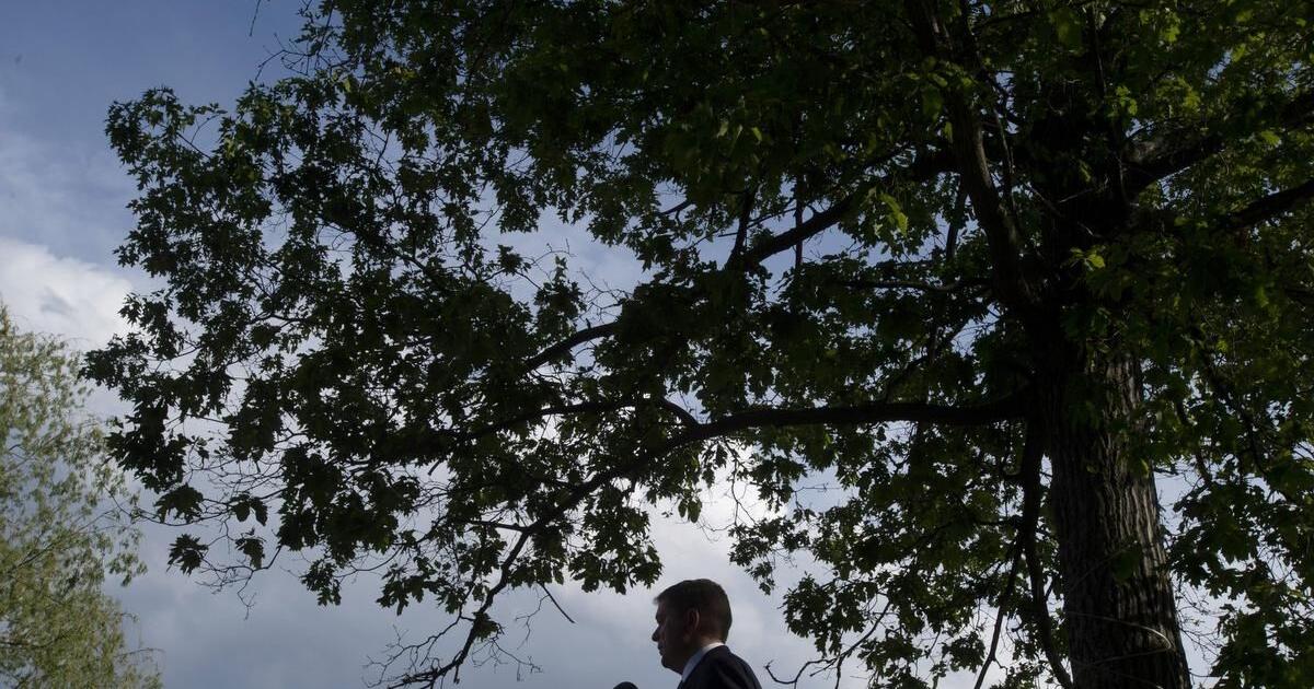 Conservative environment plan would cost more and achieve less than ...