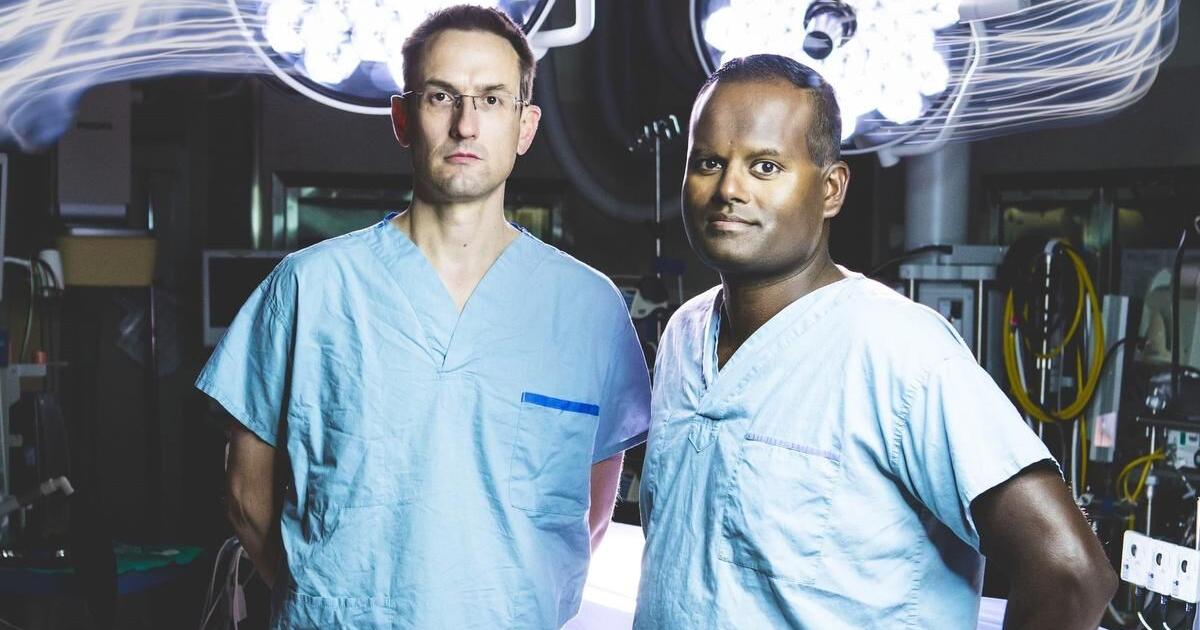 Edmonton researchers tackle limited organ donor pool by helping lungs ...