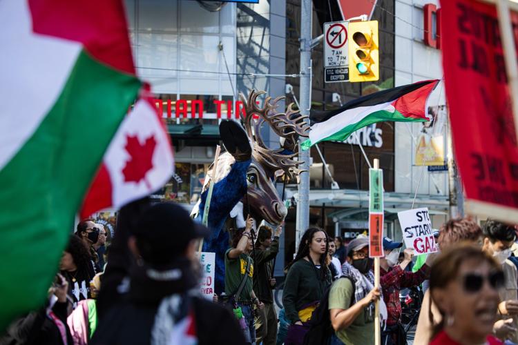 Climate change, Gaza and more on the agenda for wide-ranging protest ...