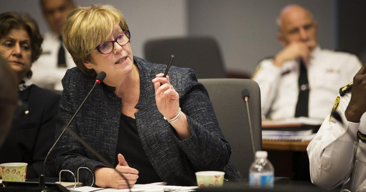 Shelley Carroll gets Liberal nomination in Don Valley North