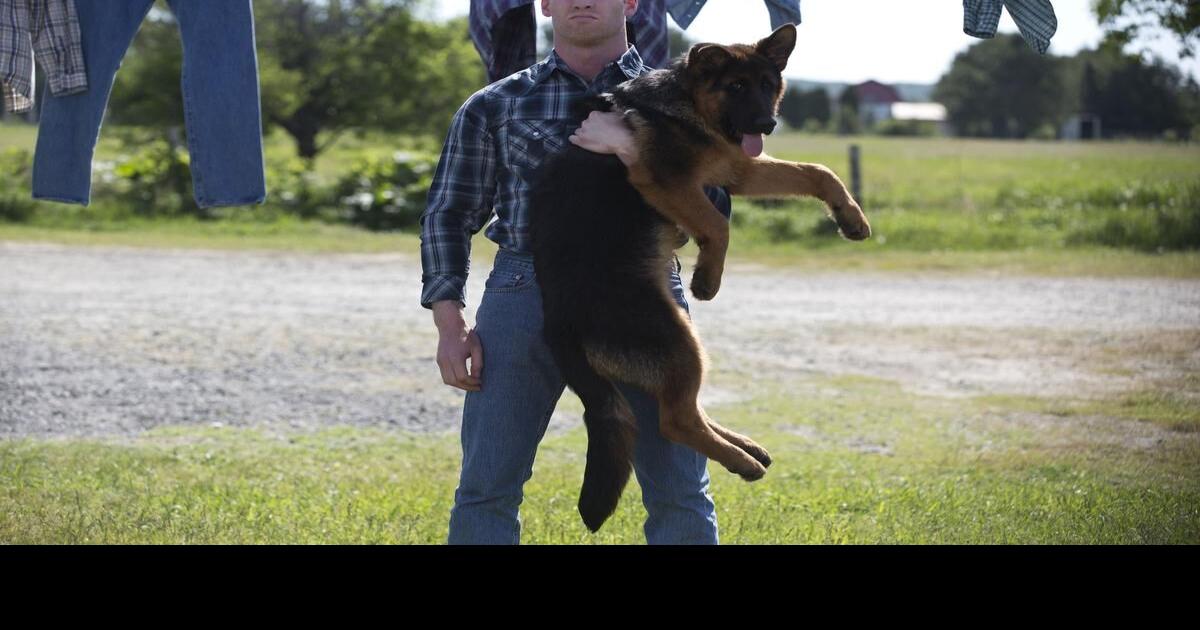 Letterkenny fans — and their dogs — are invited to a ‘pup-up store’ in ...
