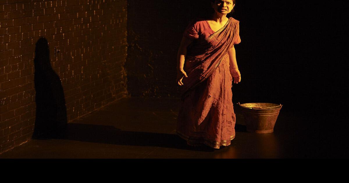 Anusree Roy's Pyaasa worth rediscovering: review