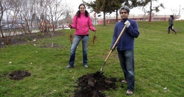 Toronto gardener Susan Poizner is planting the idea of orchards across ...