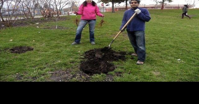 Toronto gardener Susan Poizner is planting the idea of orchards across ...