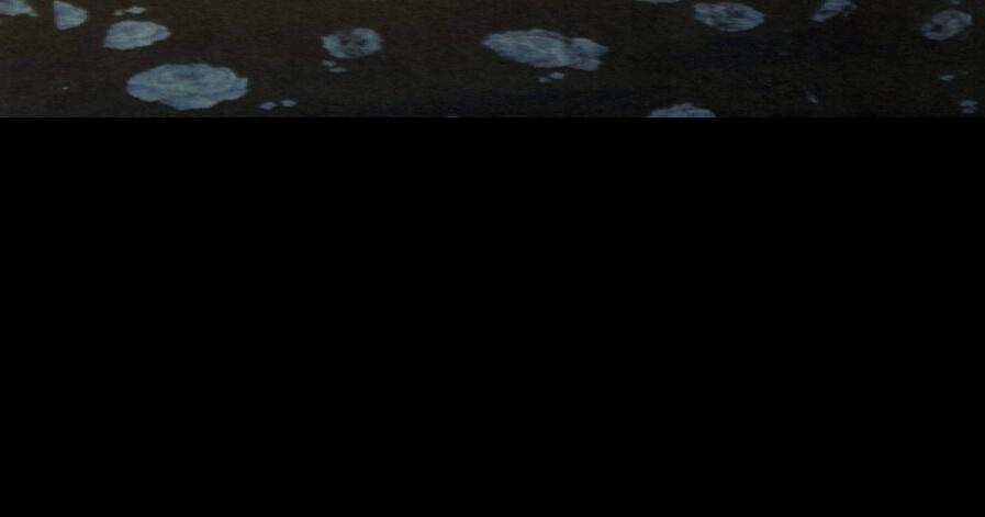 Coroner weighs restarting Ashley Smith inquest