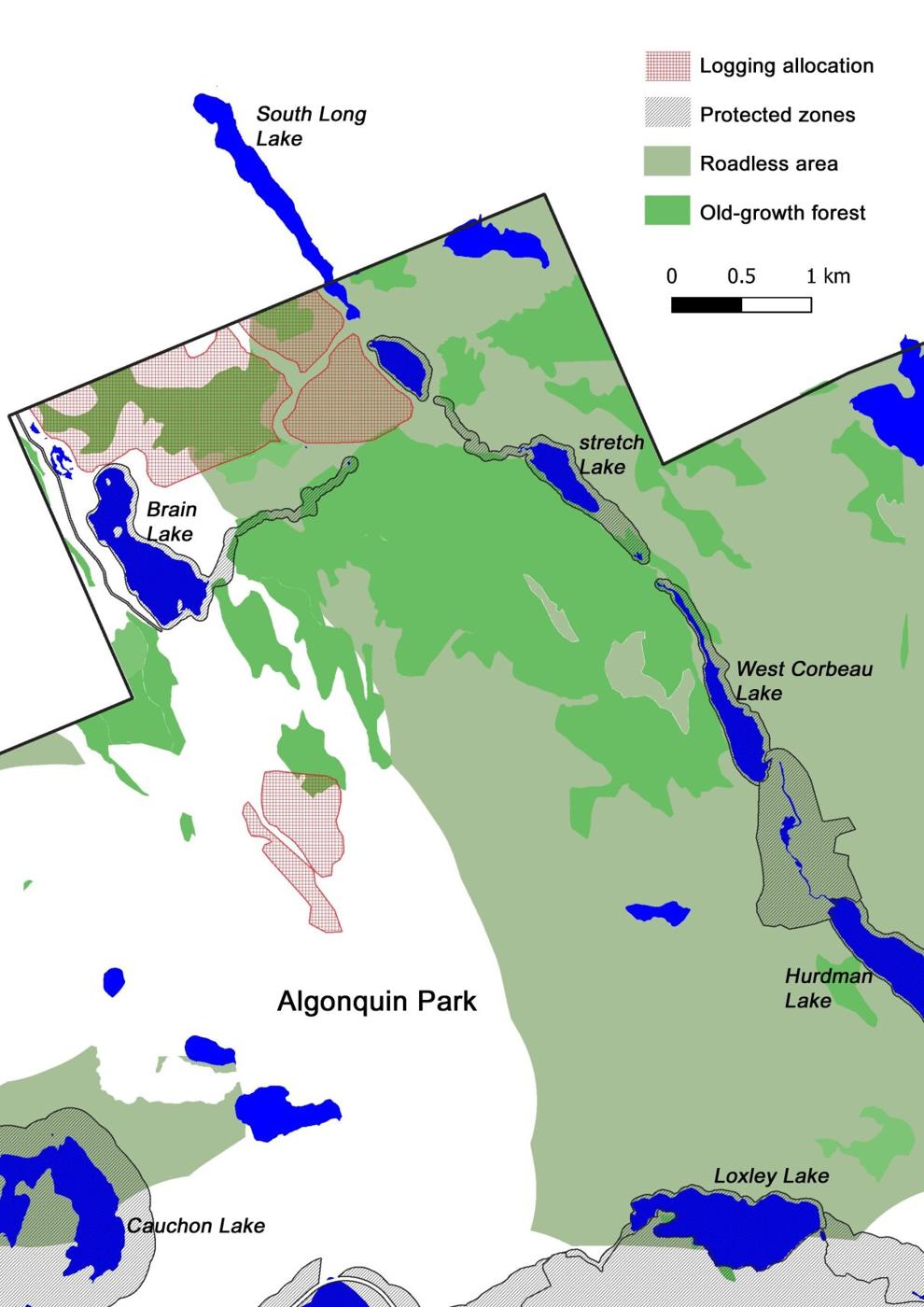 354-year-old forest found in Algonquin Park