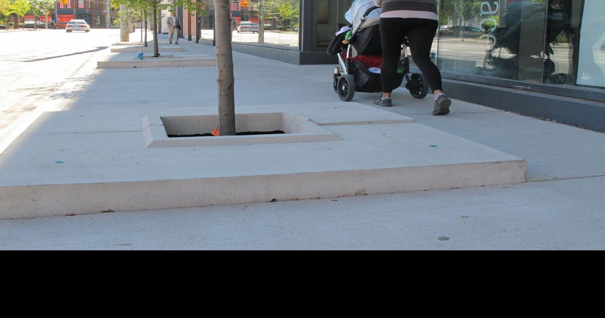 Concrete collars around King St. trees are big and dumb