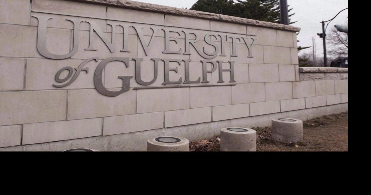 Guelph University residence wait list jumps to 1,400