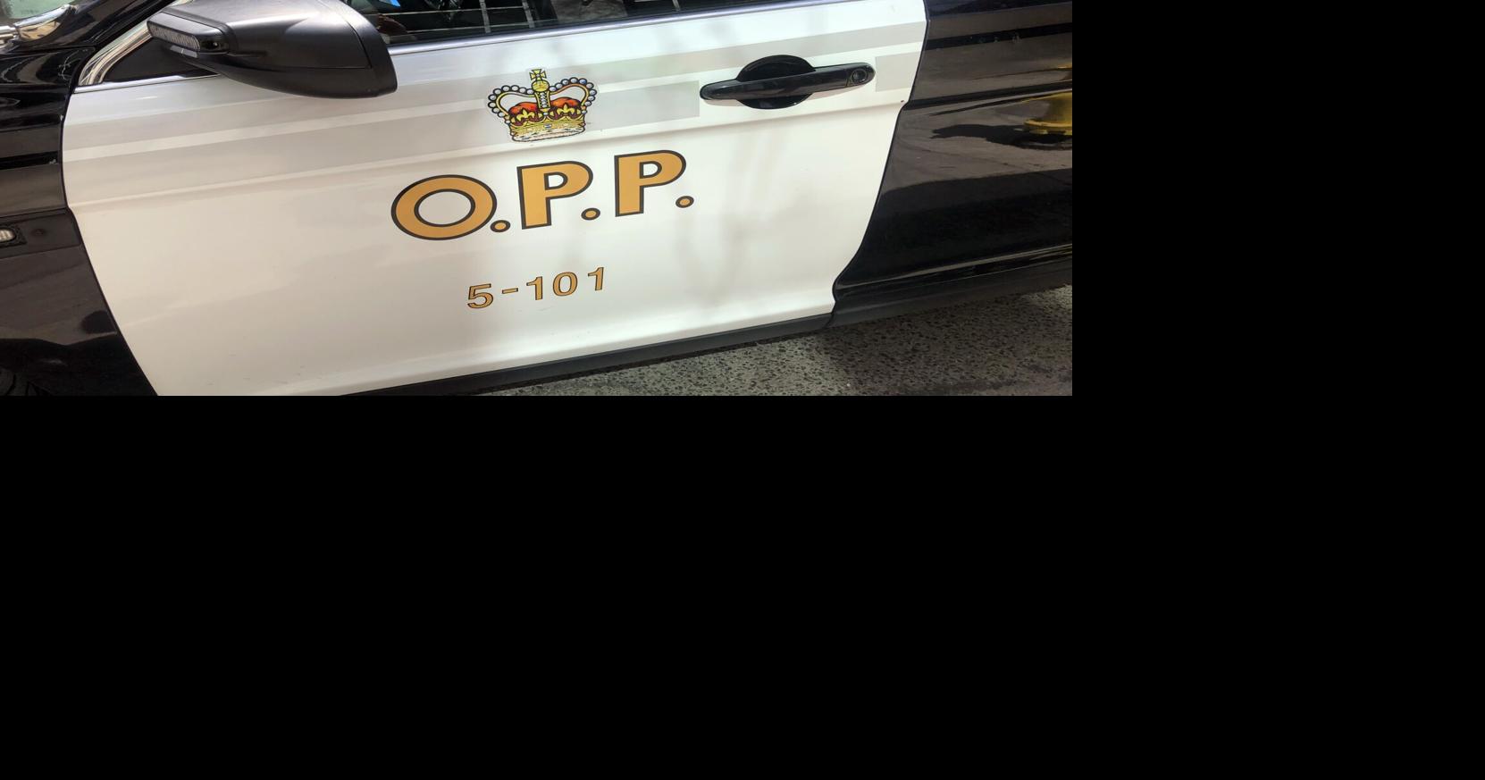 OPP and Toronto police lead new carjacking task force