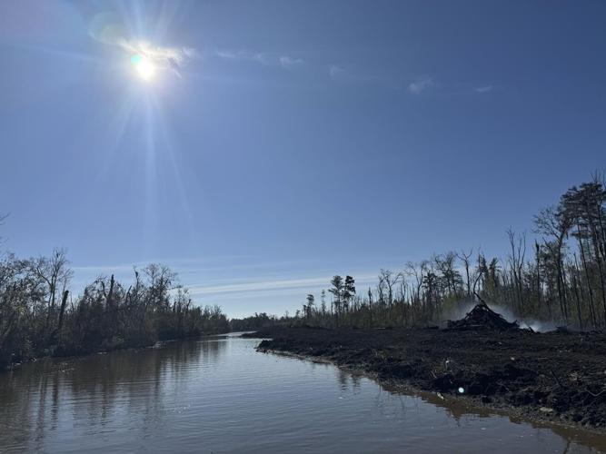 To save a dying swamp, Louisiana aims to restore the Mississippi River's natural flow