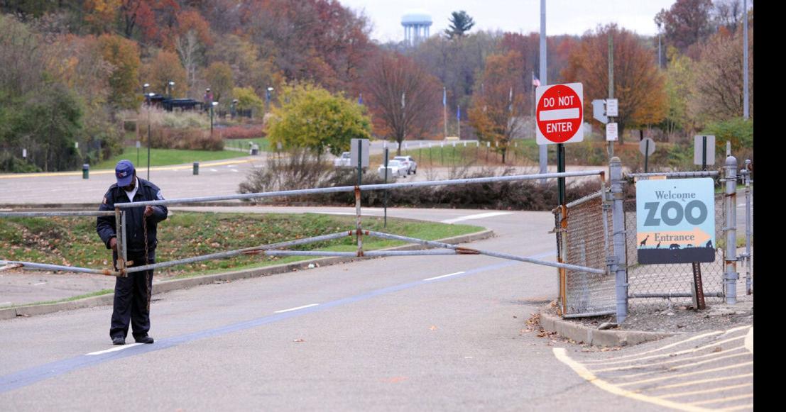 Wild dogs kill boy, 2, in ‘horrific’ attack at zoo