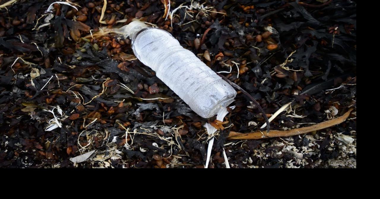 Billions of bottles: Canadian statistics paint grim picture of plastic ...
