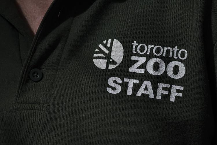 Toronto Zoo data ‘leaked on the dark web’ after cyberattack