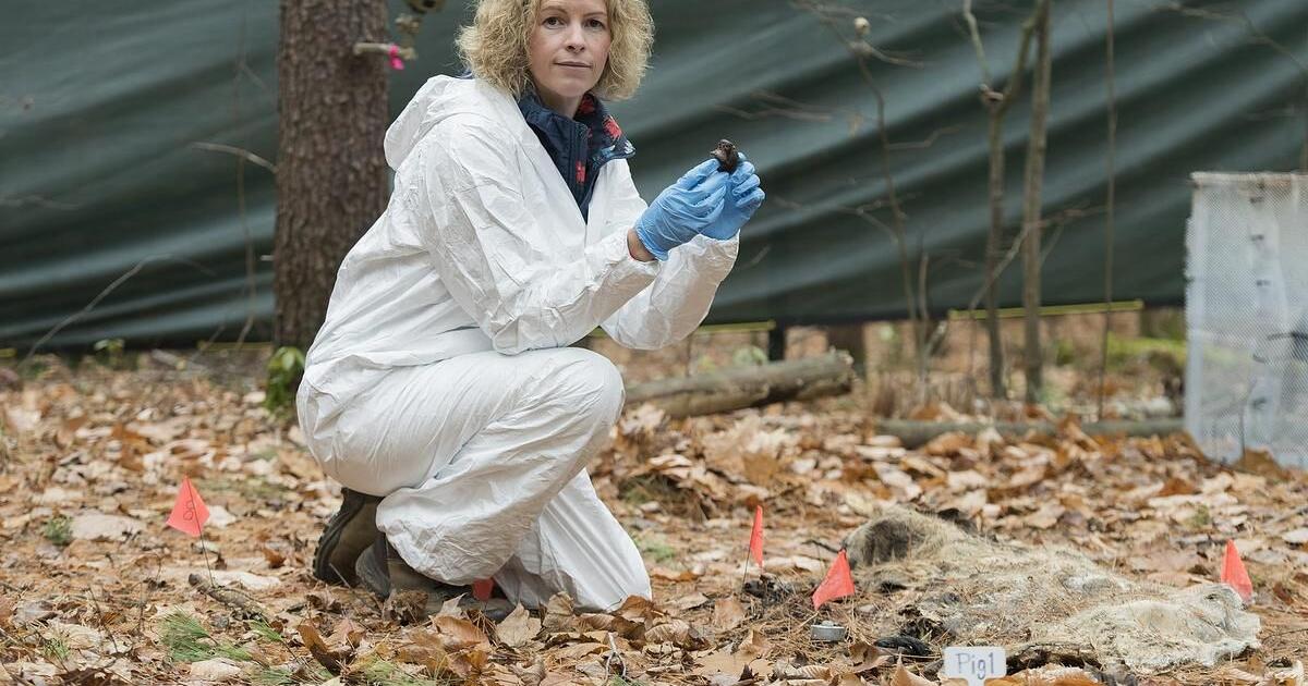 She’s in charge of Canada’s first ‘body farm’ and yes, she knows that’s ...