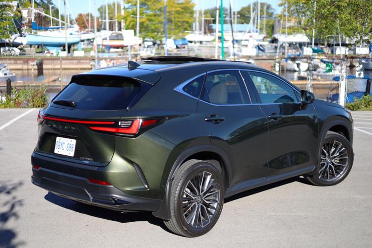 2025 Lexus NX 350h Hybrid, a Goldilocks Lexus crossover SUV