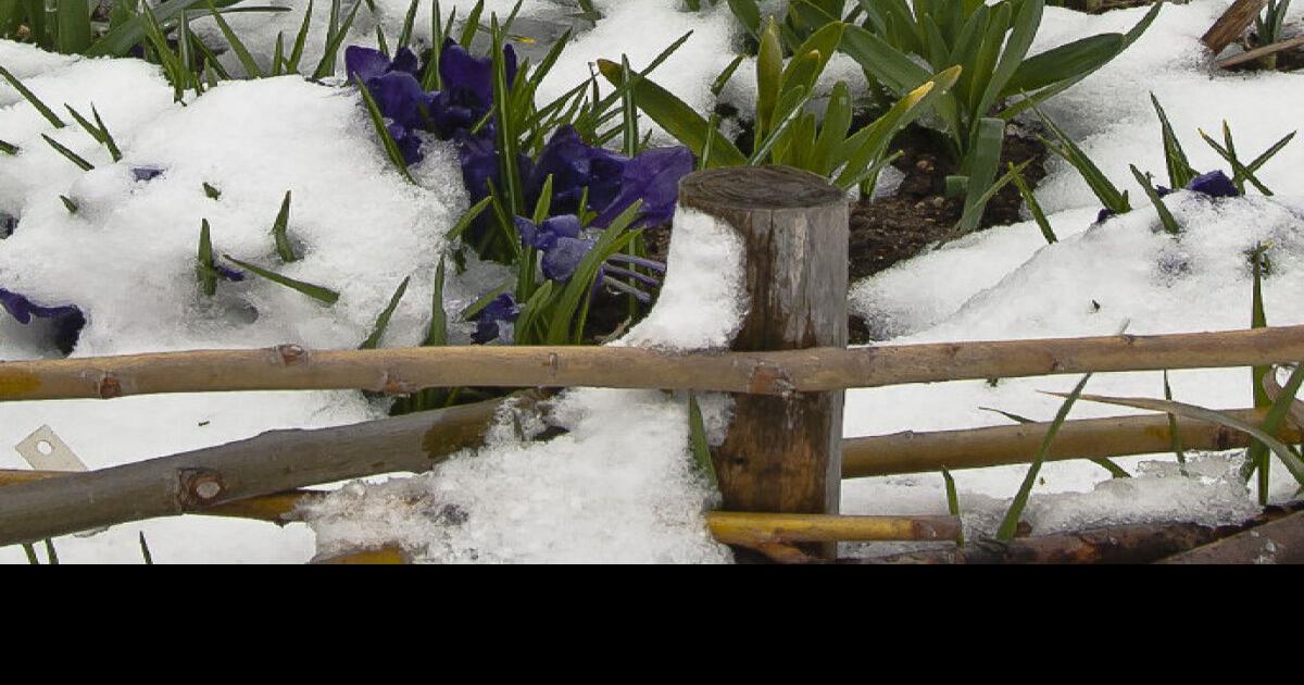 5 signs spring is on the way