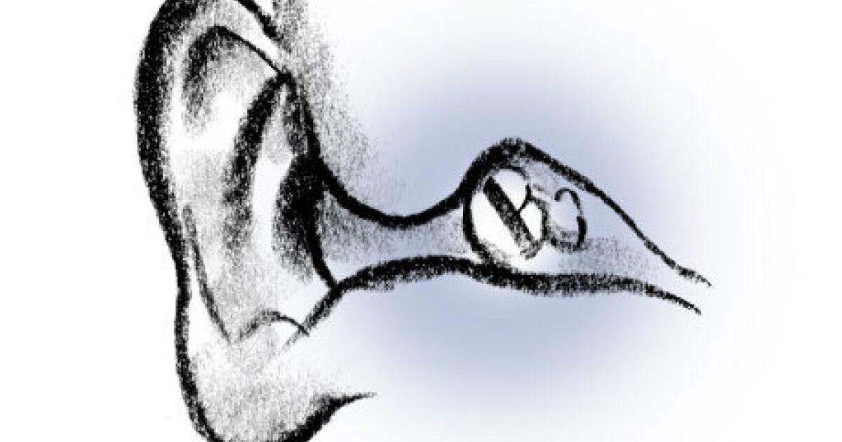 The eardrum: fascinating facts about body parts