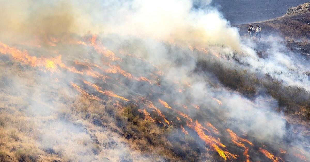 America is on fire, and a lot of people want to let it burn