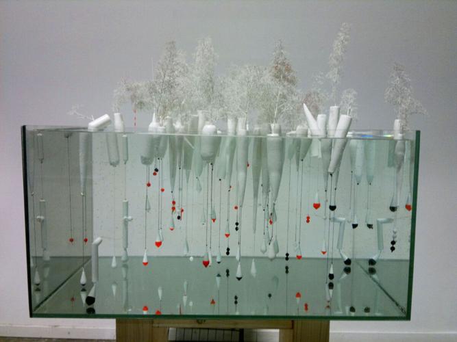 How Rotterdam got a floating forest