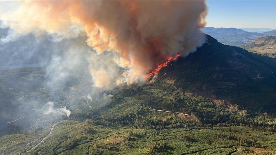 Wildfire near Port Alberni, B.C., triggers evacuations, road closure