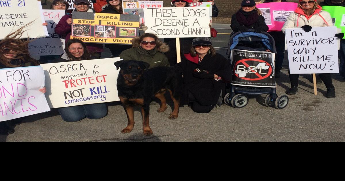 Protesters call for OSPCA to save 21 dogs planned to be euthanized