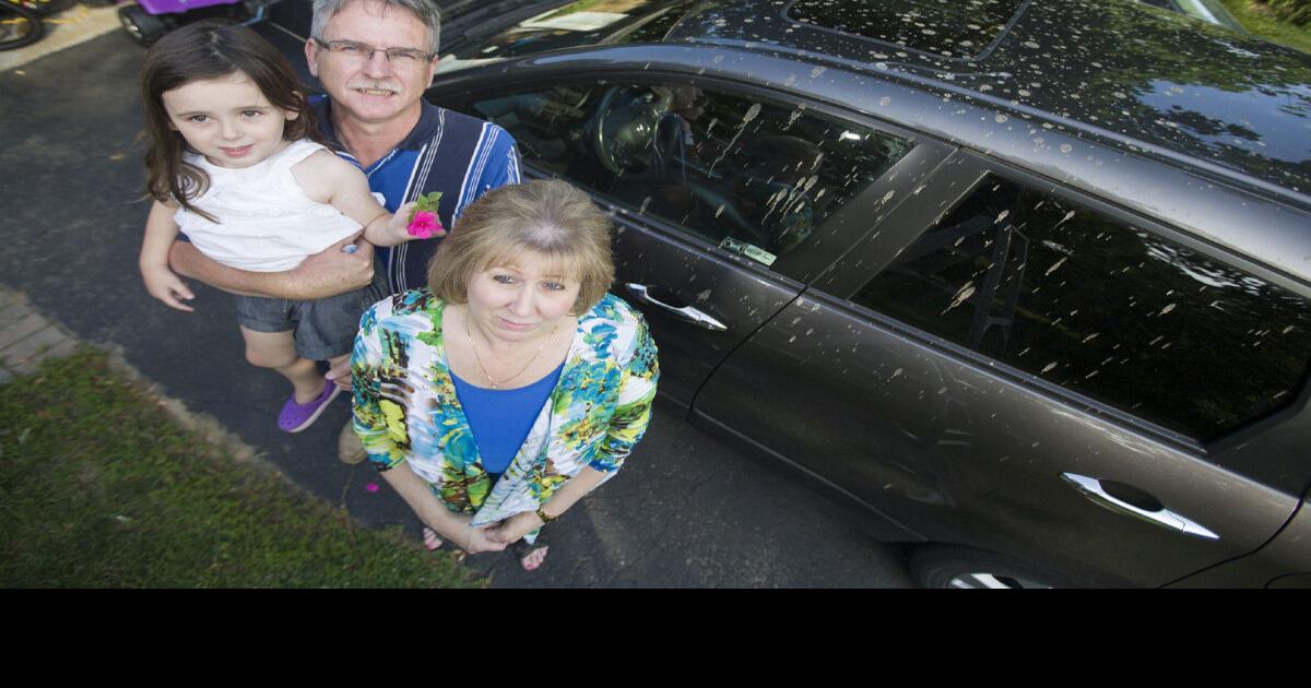 Brownish, smelly material falls from sky into second Mississauga family ...