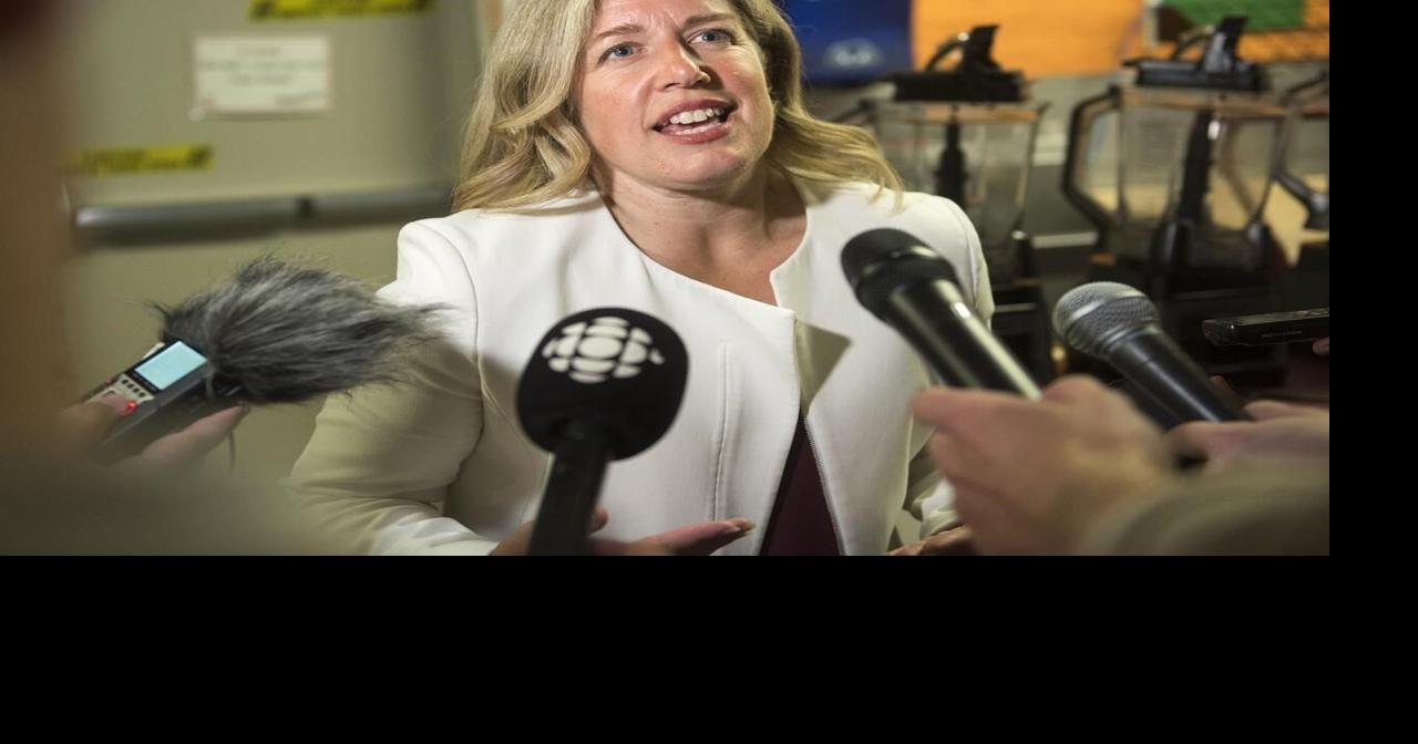 New Brunswick election: Greens promise to guarantee right to a healthy ...