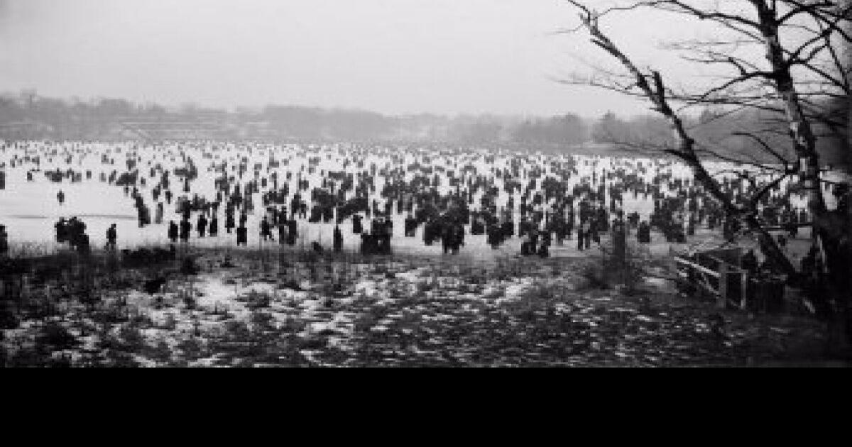 How High Park became Toronto’s “country” sanctuary