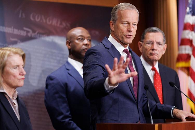 Senate blocks amendment on transgender athletes during weekend session ...