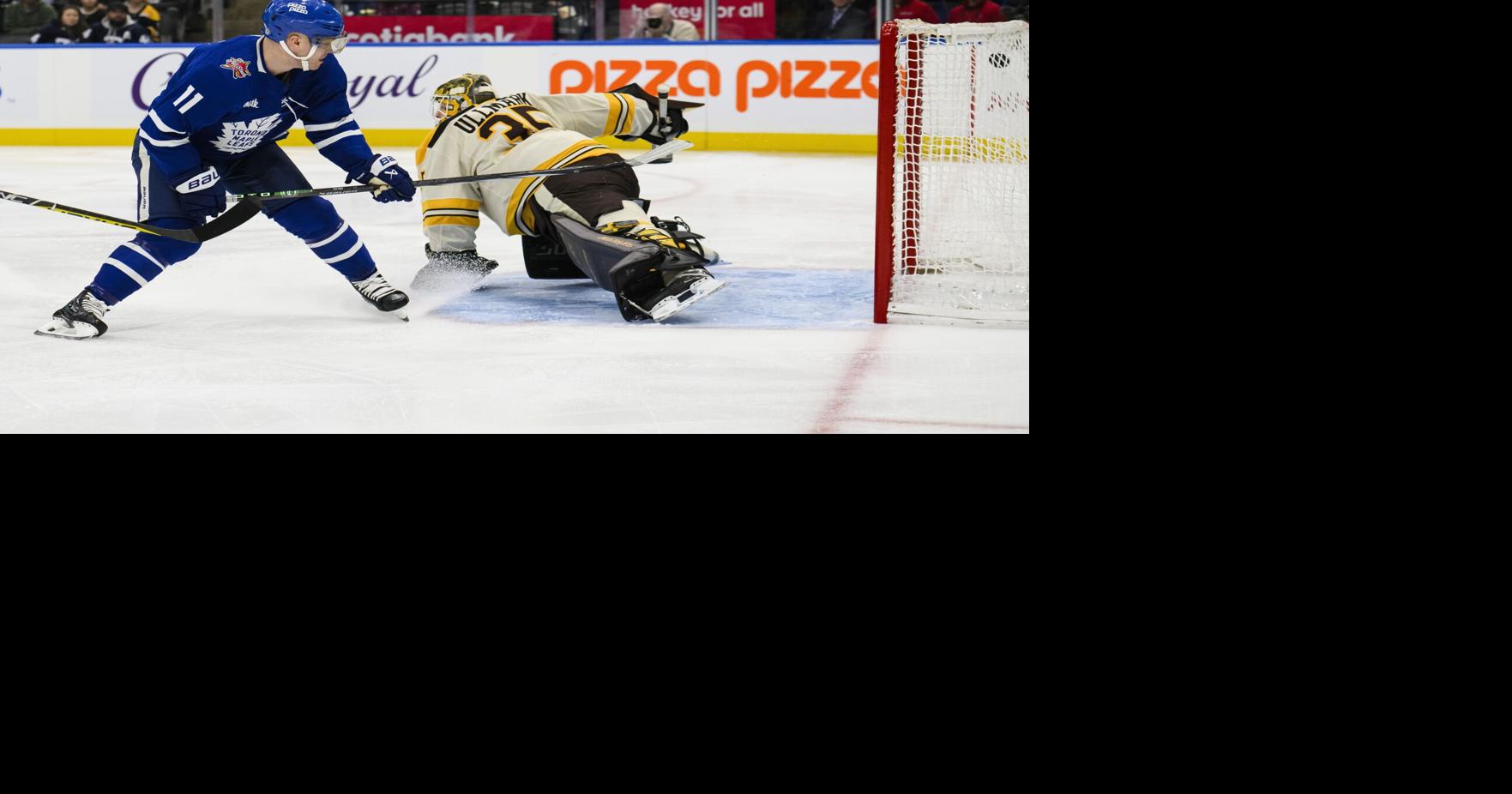 Leafs’ recent run suggests Treliving knows what he’s doing