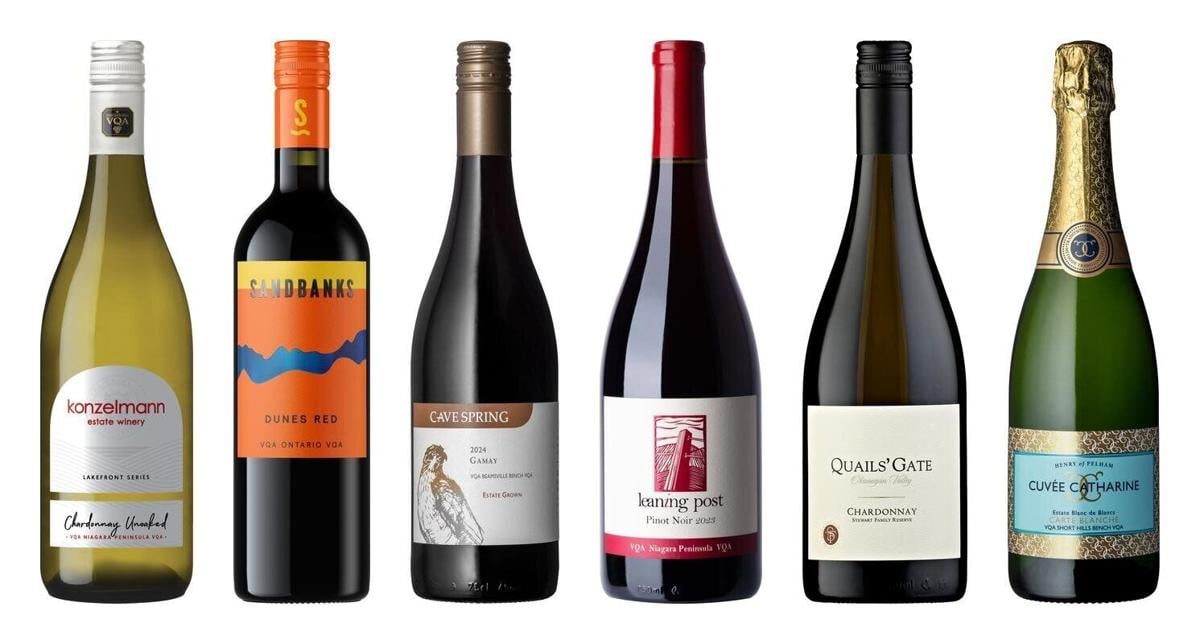 Six best Canadian wines at the LCBO, including two $16-gems