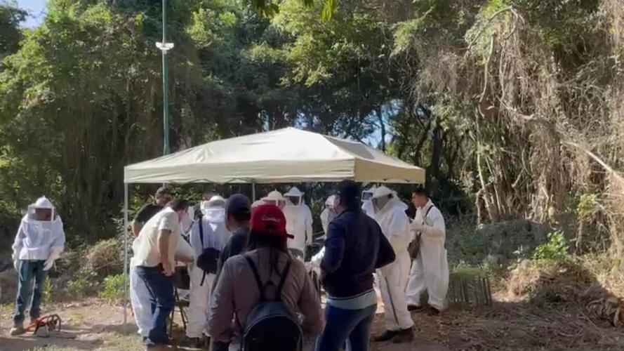 Mexican police search for body of Canadian who vanished in 2018