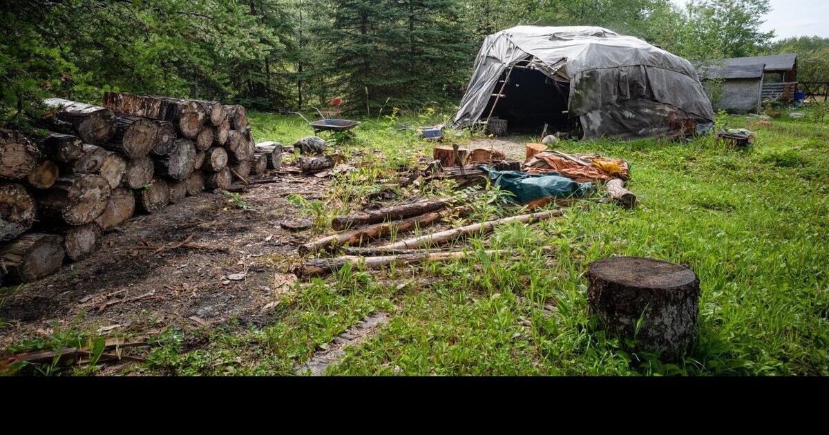 Grassy Narrows scores victory 20 years after logging blockade began