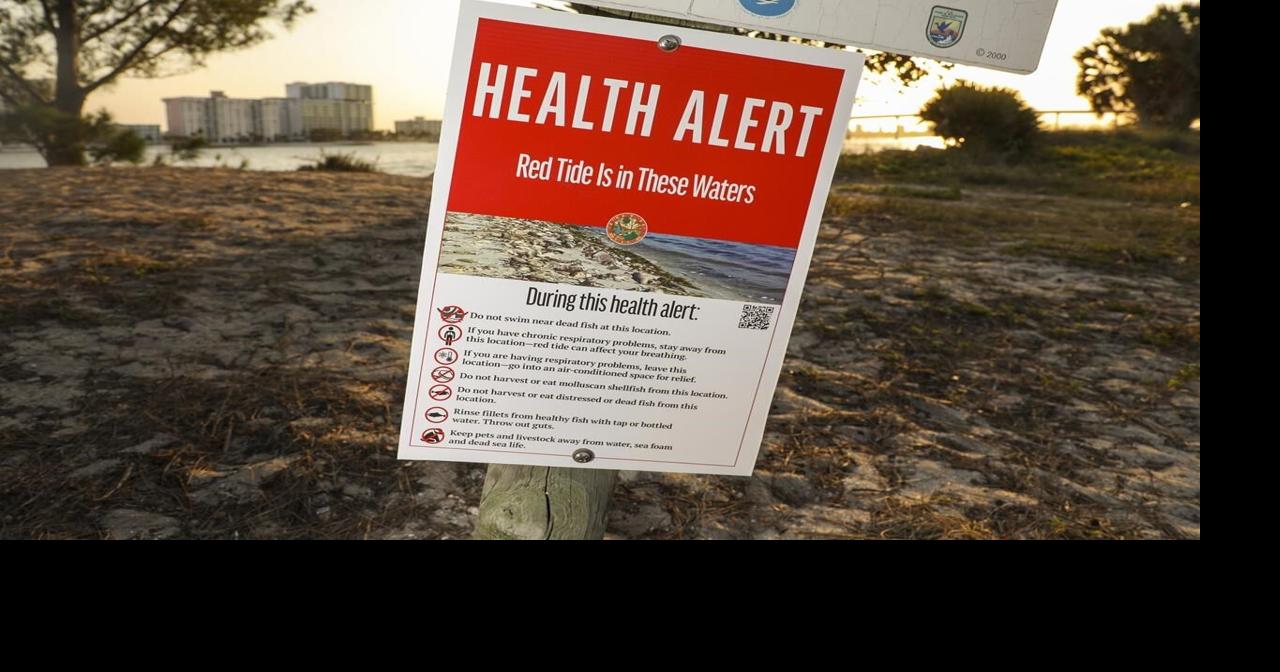 What to know about red tide after Florida's back-to-back hurricanes