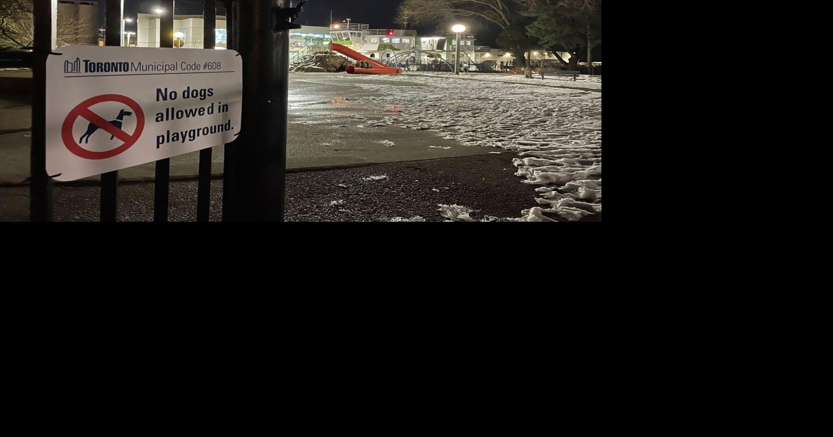 Toronto’s dangerous dogs plan is fatally flawed