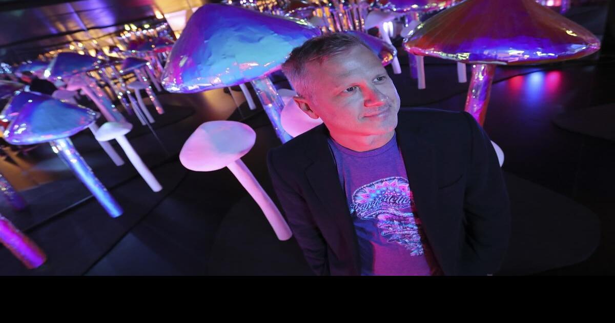 ‘Psychedelics: The Experiential Exhibition’ pays tribute to hallucinogens