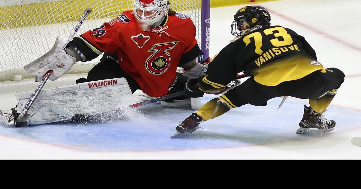 Toronto Six star Elaine Chuli set the standard for PHF goalies