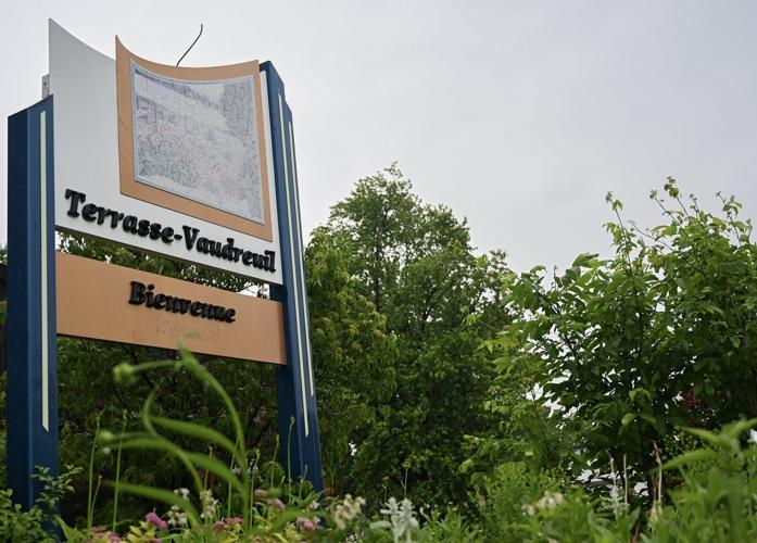 Quebec town of Terrasse-Vaudreuil recognizes trees as living beings ...