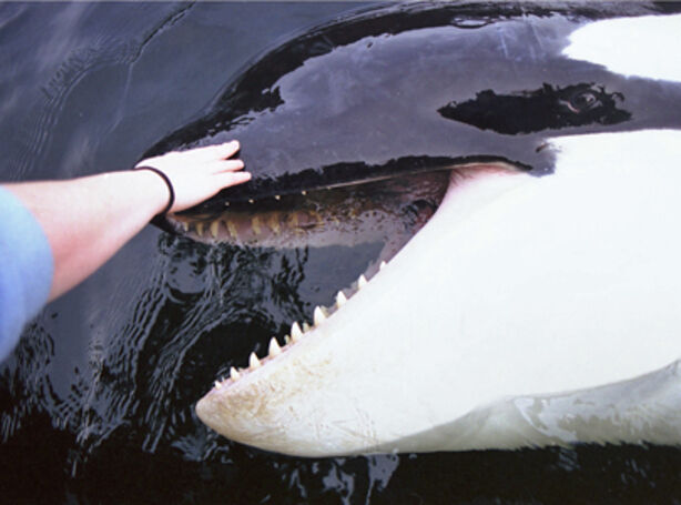 Saving Luna: Powerful documentary