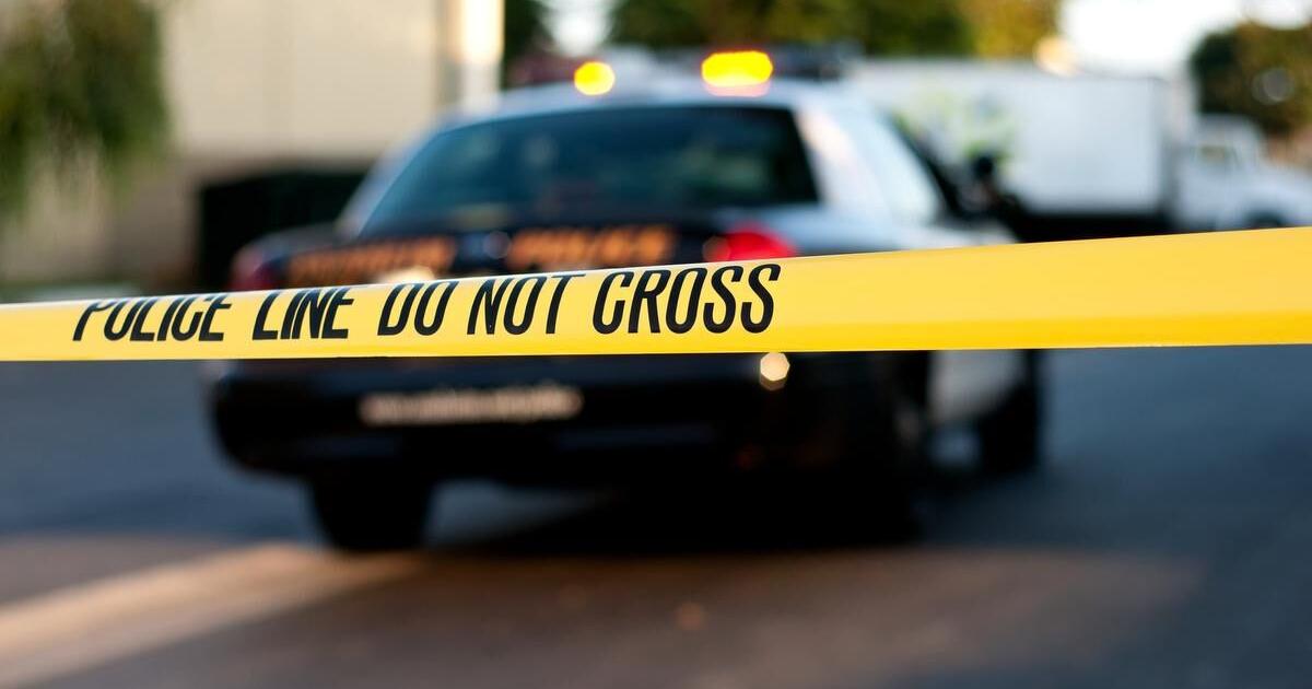 Travis MacPhail, 21, pleads guilty to murdering man and woman in ...