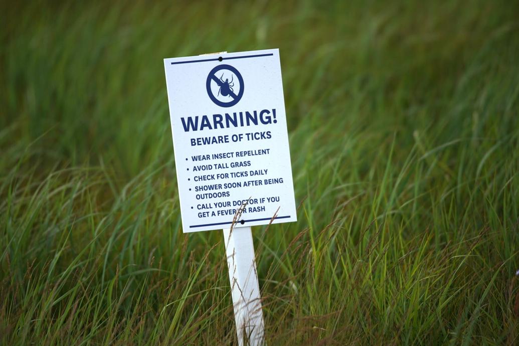 Ticks are surging in Ontario in 2026; Toronto is a hot spot