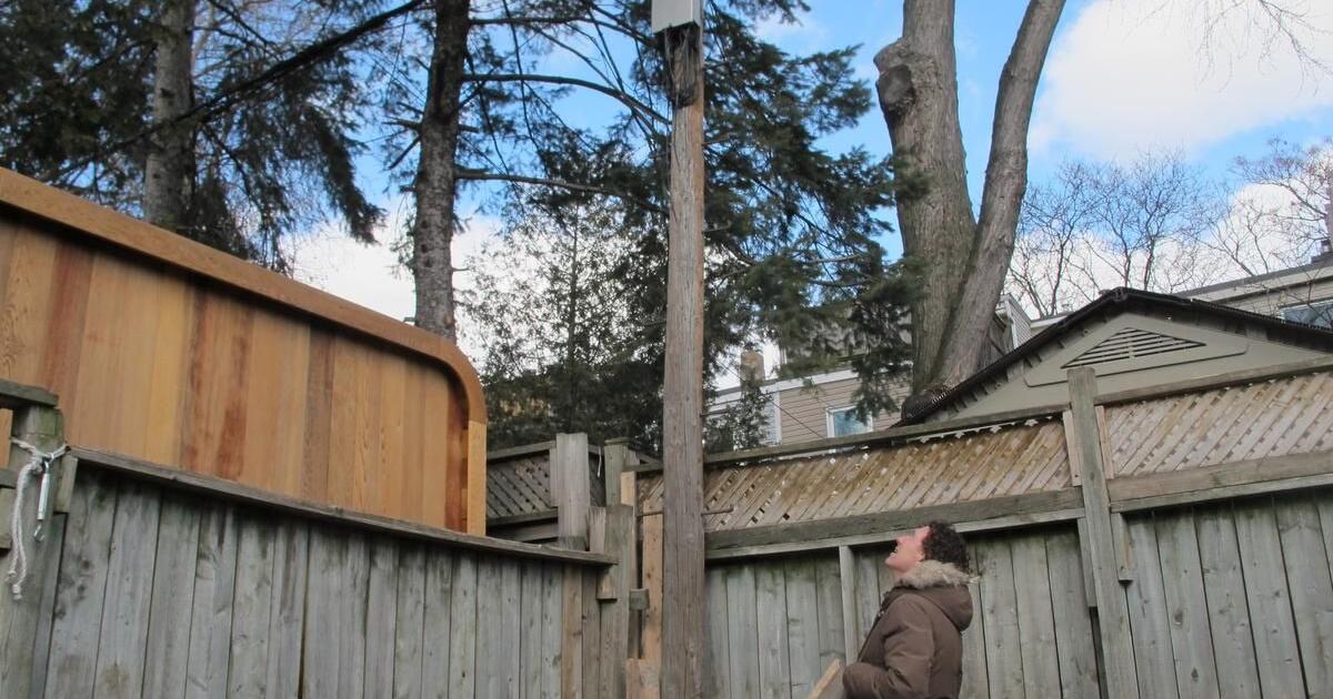 Bell Canada has no right to keep its utility pole in this Toronto back ...