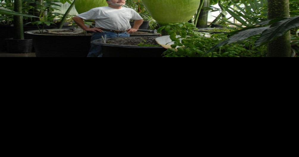 World’s tallest plant ready to bloom in Niagara: The Real Dirt